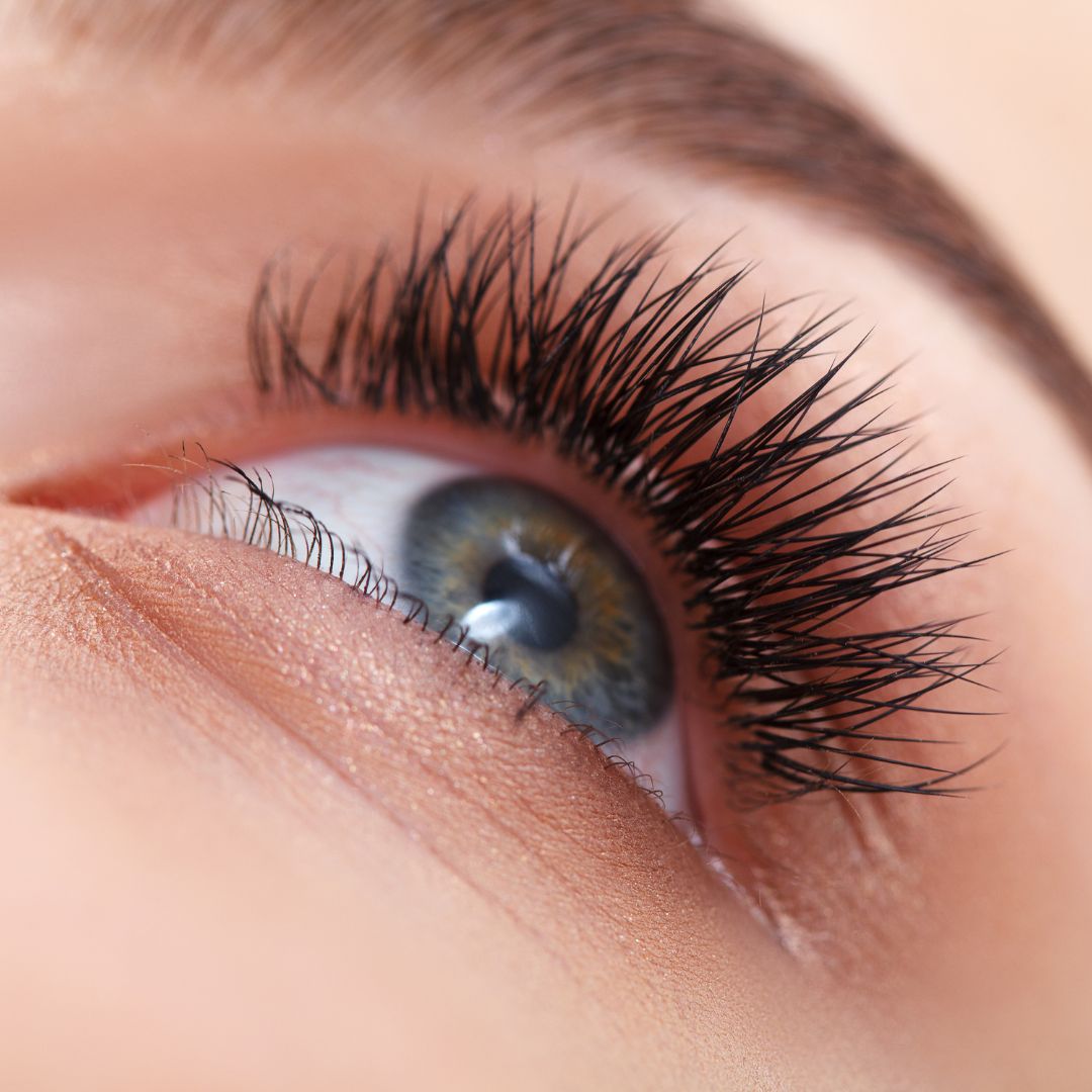 Perfect Lash Fan Technique Guide for Volume Extensions | NZ Beauty School